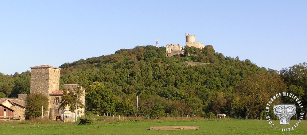 LA FRANCE MEDIEVALE: SAINT-QUENTIN-FALLAVIER (38) - Le château de Fallavier