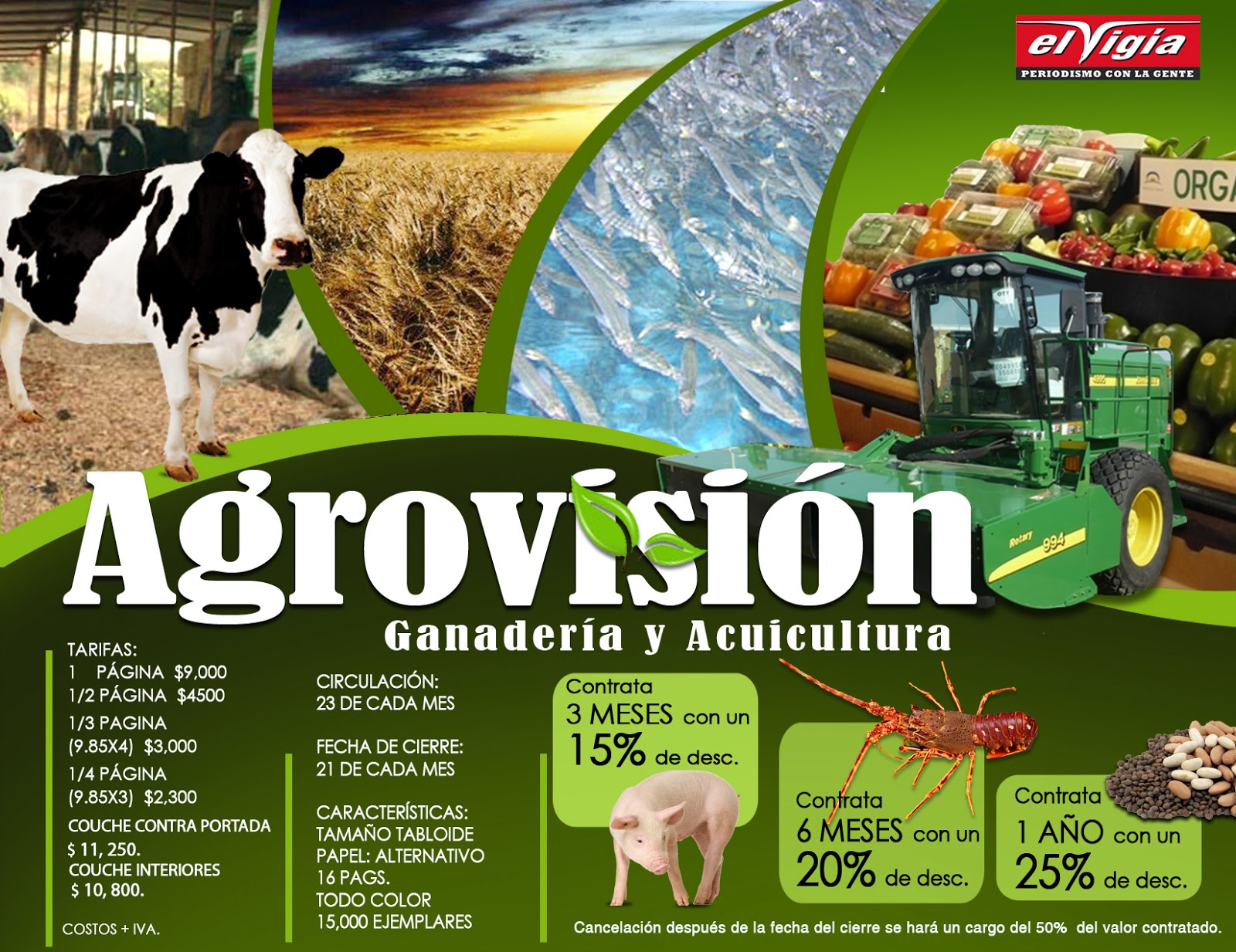 MULTIMEDIA CONSULTING