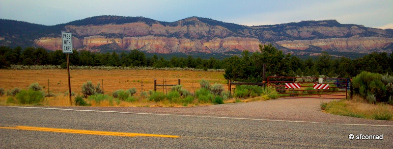 PUPPY PATHS - RVing Full-Time: New Mexico Highway 96