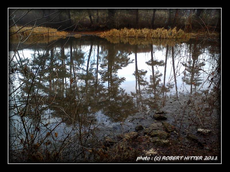 Pictures-Photos-Képek-Imagini - © - ROBERT HITTER: REZERVATIA PARAUL ...