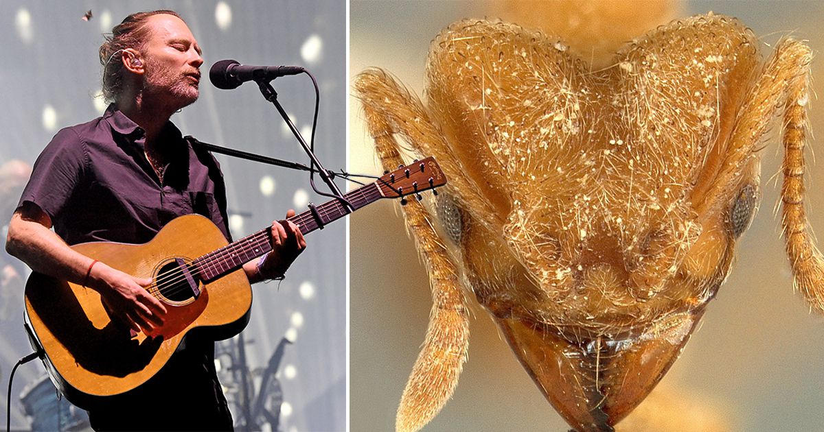 Conociendo la Biodiversidad