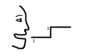 Linguistics: Intonation