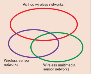 Electronic Project : Wireless Multimedia Sensor Networks