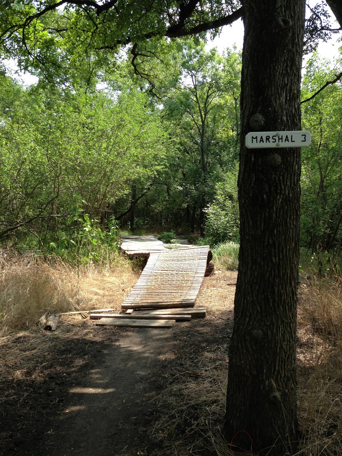 The Roaming Itinerant: L.B. Houston Nature Trail (Dallas, TX)