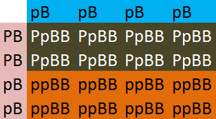 X-Bar, P-Hat: Gingers, Genes, and the Binomial Function