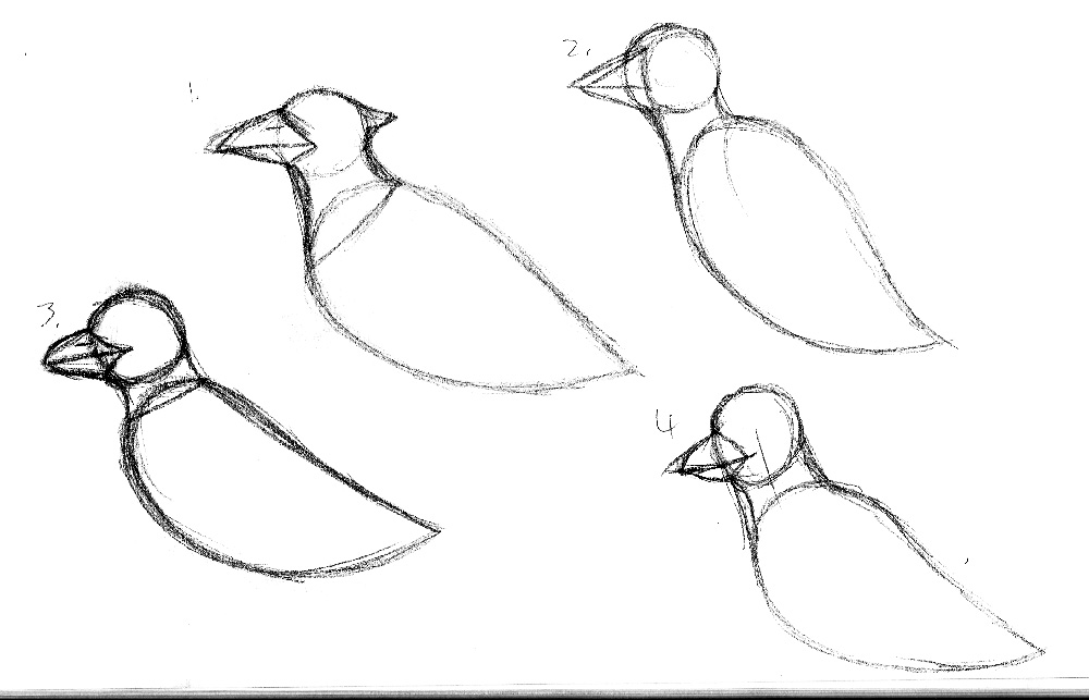 Shahbir's Artwork and Other Things: Final Project part 7: Bird and Worm ...