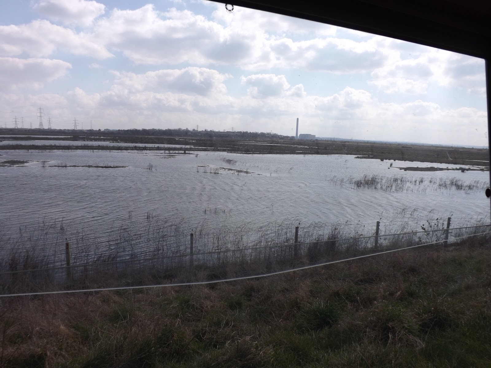 Ramblings from an English Garden: Rainham Marshes