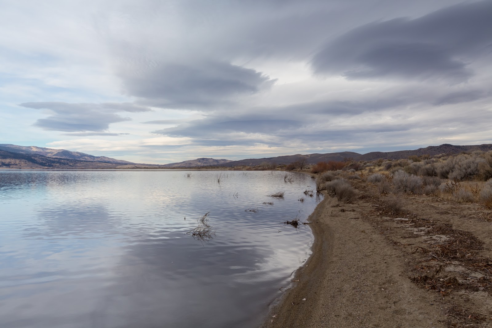 Naturetastic Blog: Washoe Lake State Park - Tahoe Trip (Part 3)