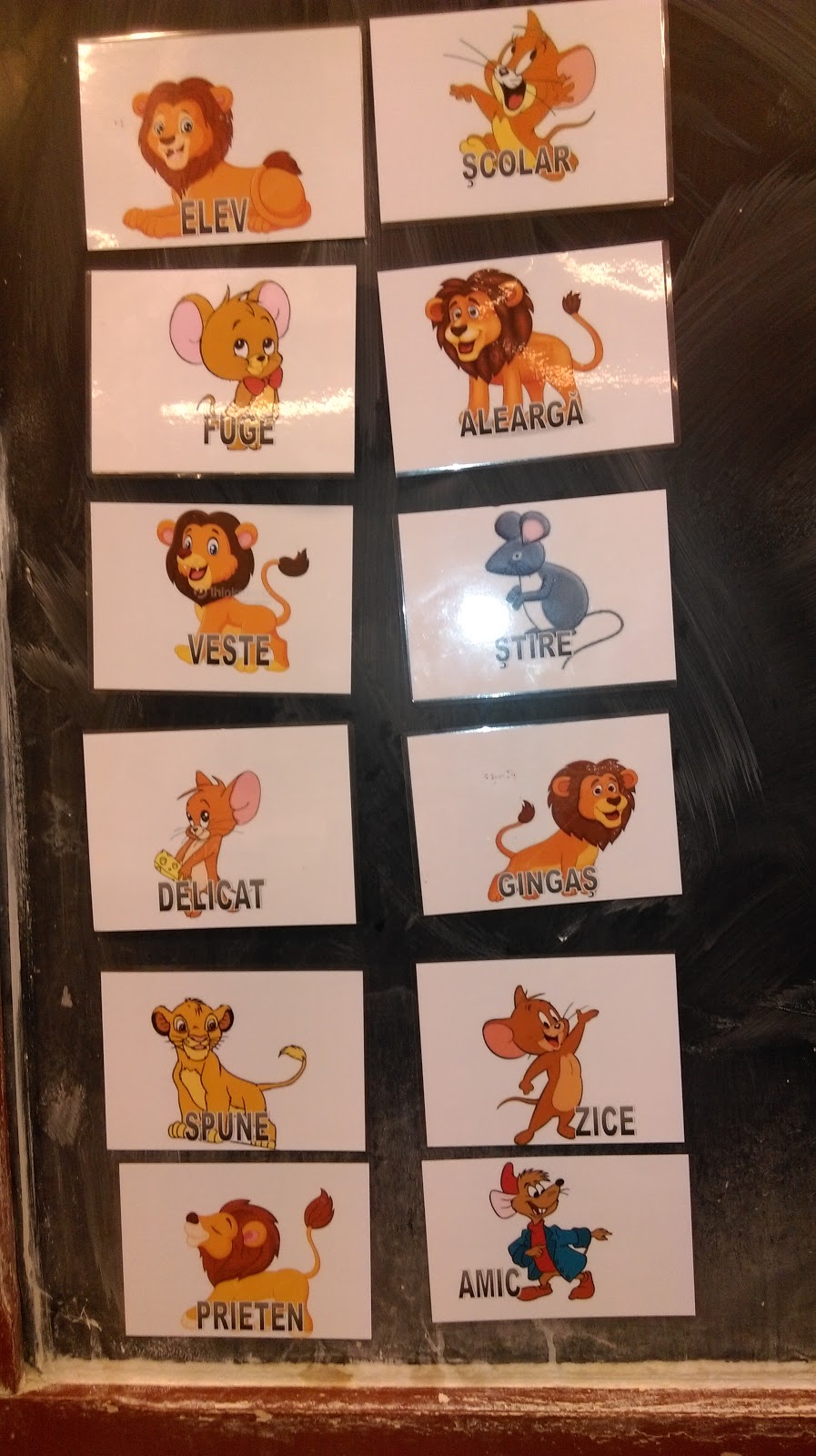 CLASA MEA: Limba romana