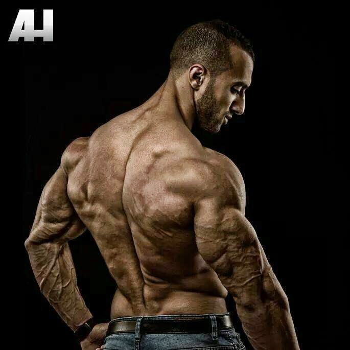 Fitness Best Physiques : amr hussein