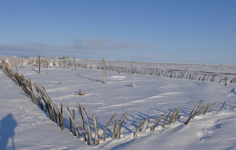 Sejarah Suku Eskimo dan Kebudayaannya - Dunia Kesenian