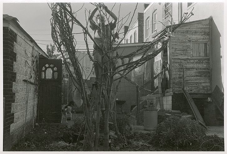 B: Q & A with Thomas Roma