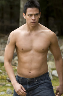 The Twilight Saga Brasil