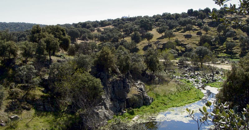 Clima mediterráneo(Clima templado) - APRENDIEN2 GEOGRAFIA