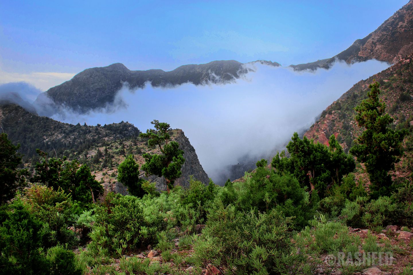 Discover Balochistan: The Beautiful Landscape from Ziarat Valley ...