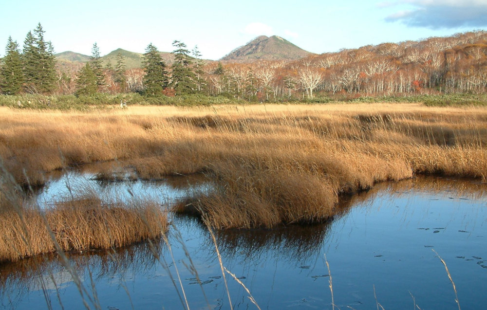 SHOTs rambling Japan: Shinsen-numa Marsh in Niseko (Hokkaido)