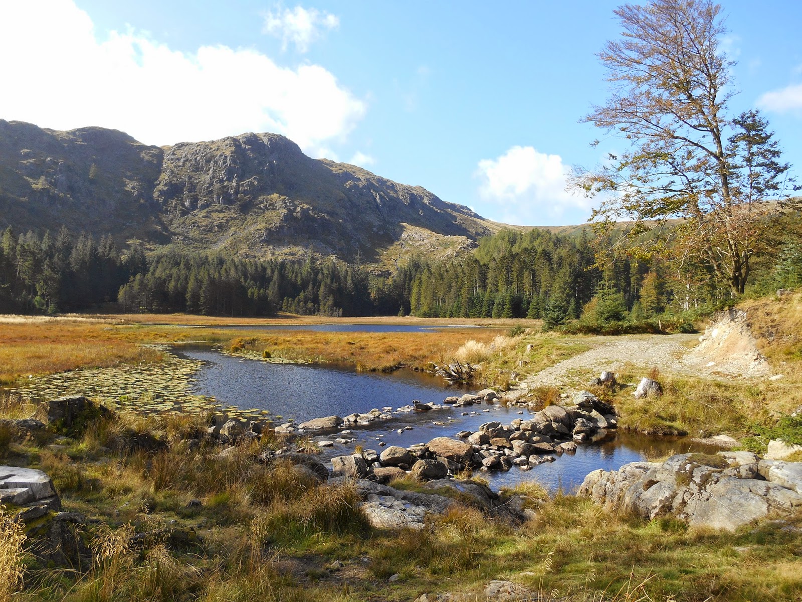 Nature Notes and Observations: Harrop Tarn and Thirlmere