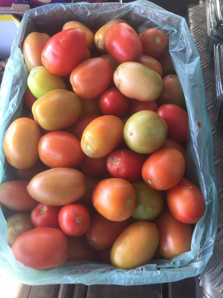 umiyumi2 : our life in perth, WA: Fruit Picking @ Valley Fresh Produce