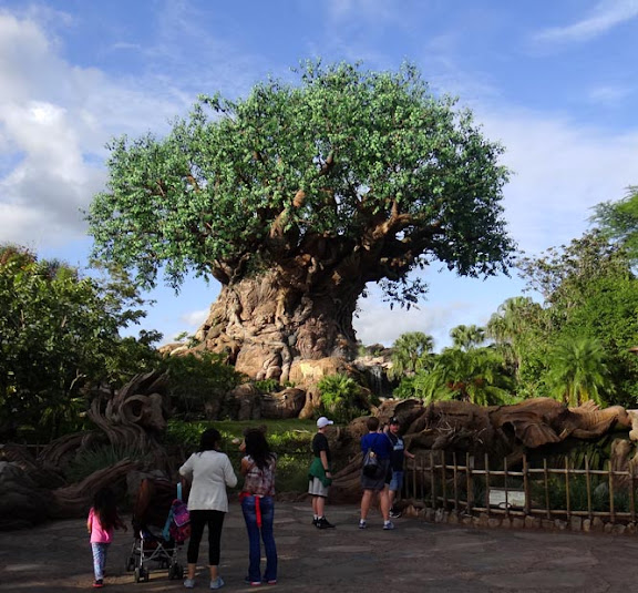 Reflections From the Fence: The Wonderful World of Disney, Part 3, Tree ...