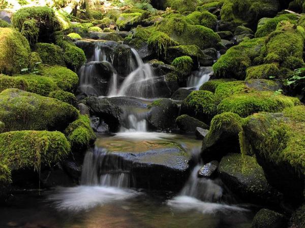 Best Natural Scenes ~ ISLAMIC