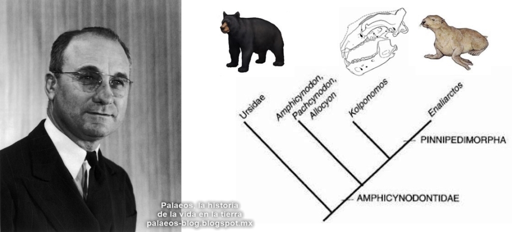 Palaeos, la historia de la Vida en la Tierra: junio 2013