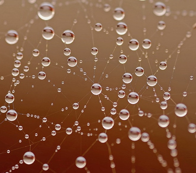 DUE DROPS PHOTOS - world pics