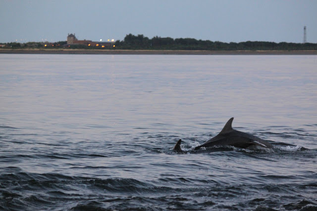 Our backpacking trip: Dia 47 / Day 47 - August 18/2012