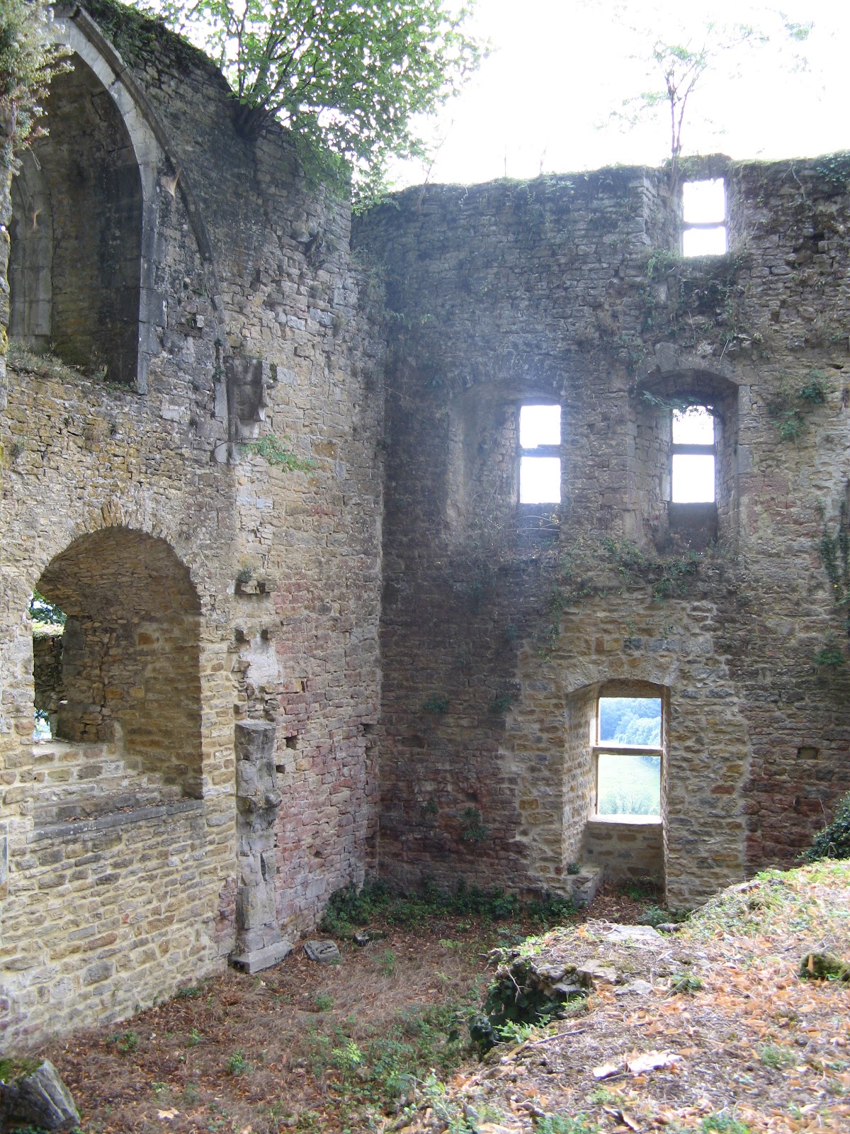 MES VIEUX CHATEAUX: Le Chateau d'Arlay