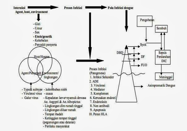 Surveilans Epidemiologi FKM UNSRI: Surveilans Epidemiologi Demam ...