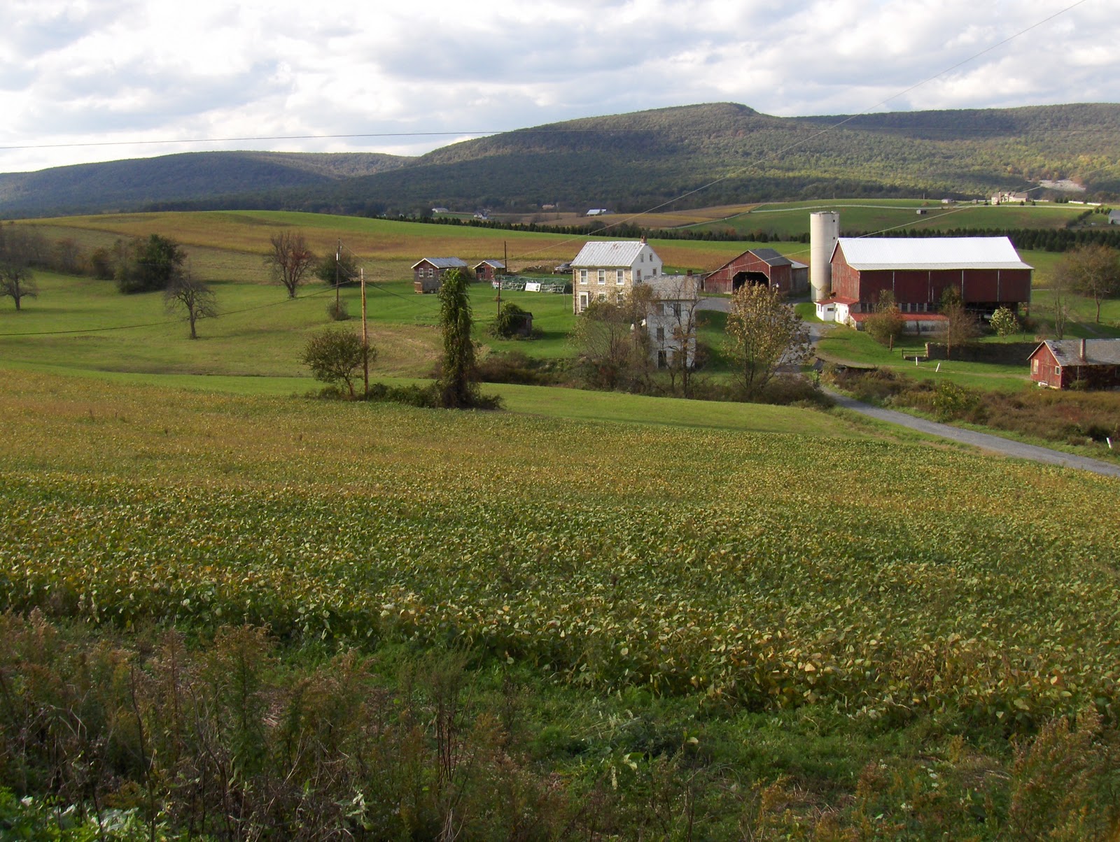 Harter'sFarmHouse: Farm country in Pennsylvania