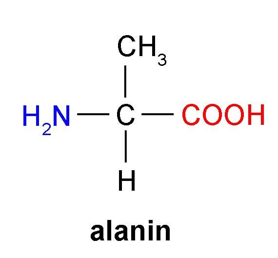 Merve'den Güzellik Sırları: Alanin