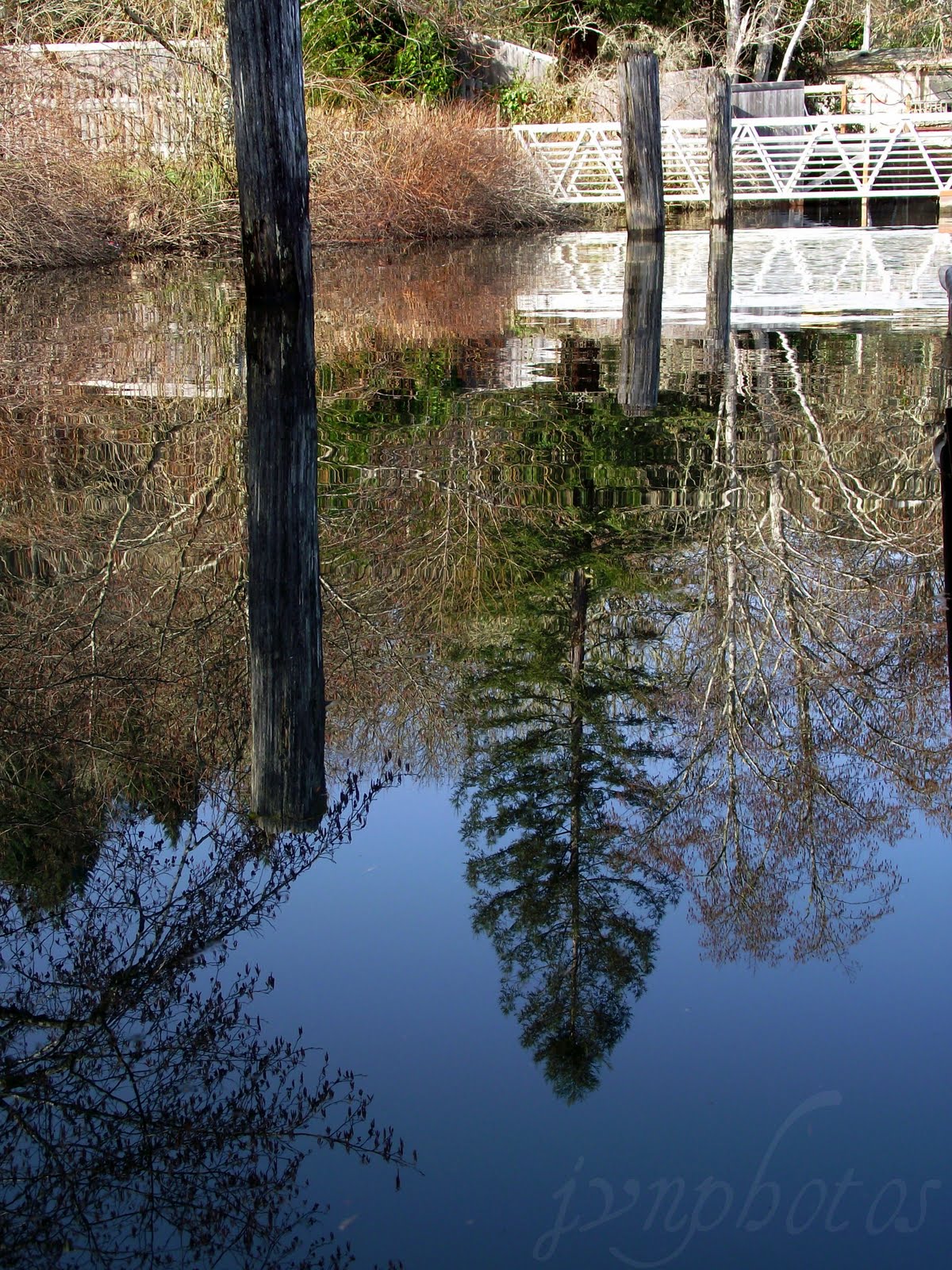 Photos by Jan: Triangle Lake, Oregon and Further Adventures