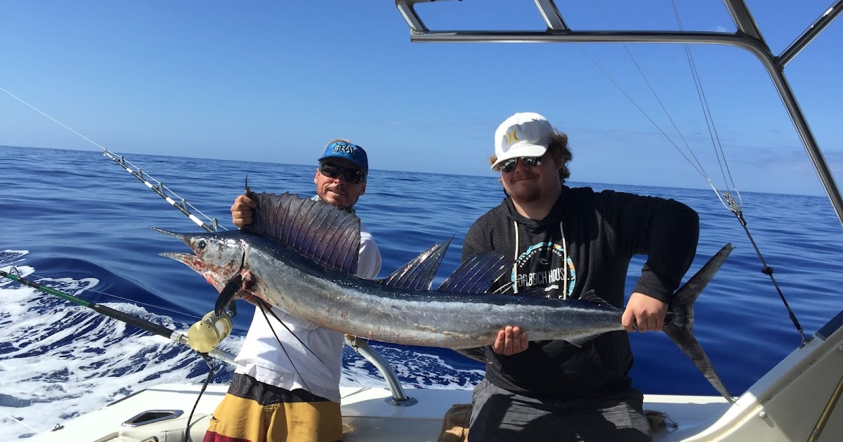 Maui Fishing Charters - Today's Fresh Catch: Today's Fresh Catch-Spearfish!