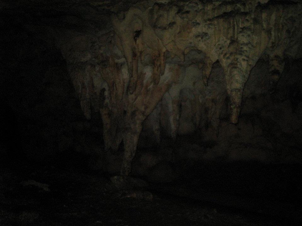 tiny beautifull: busay in moalboal