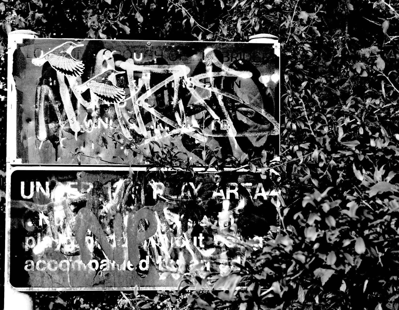 Printmaking and Illustration Blog.