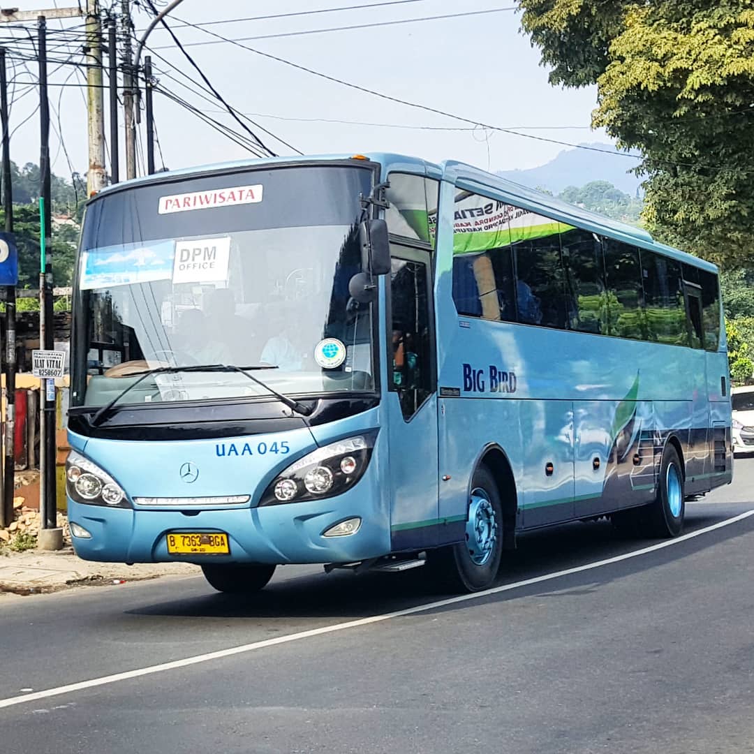 Sewa Bus Pariwisata - Rental Bus Pariwisata - Charter Bus Pariwisata ...