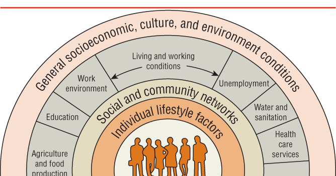 Dr L.Purnell and Paulanka model