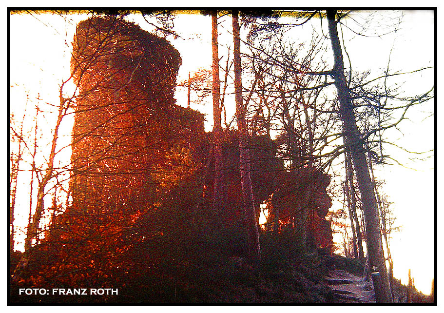 Irmgard & Franz Roth Media Productions: Februar 2017