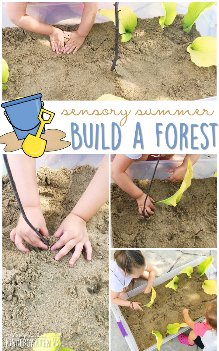 10 Ways to Play with Sand {Sensory Summer} - Mrs. Plemons' Kindergarten