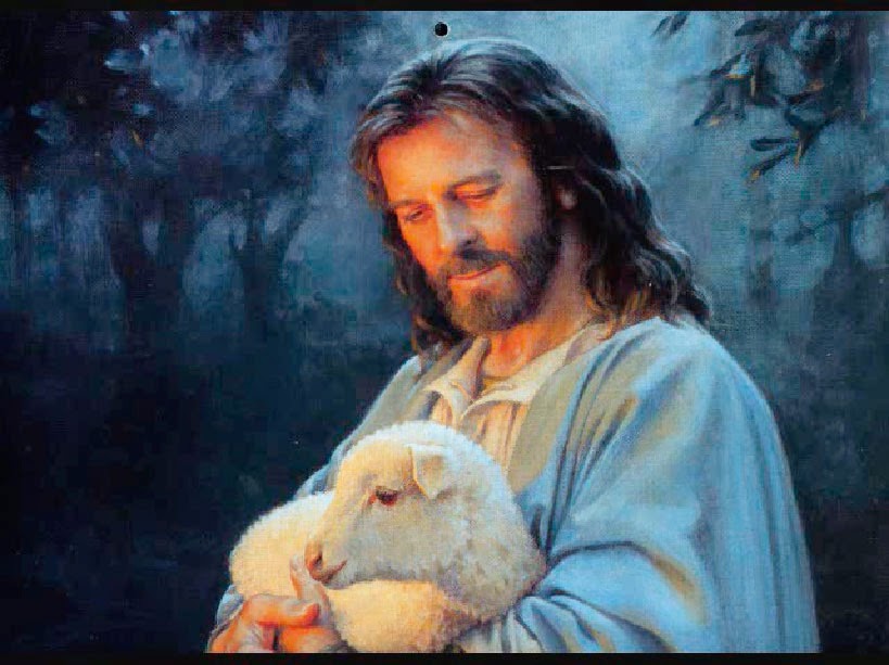 Jovenes Católicos: Dios nos tiene paciencia