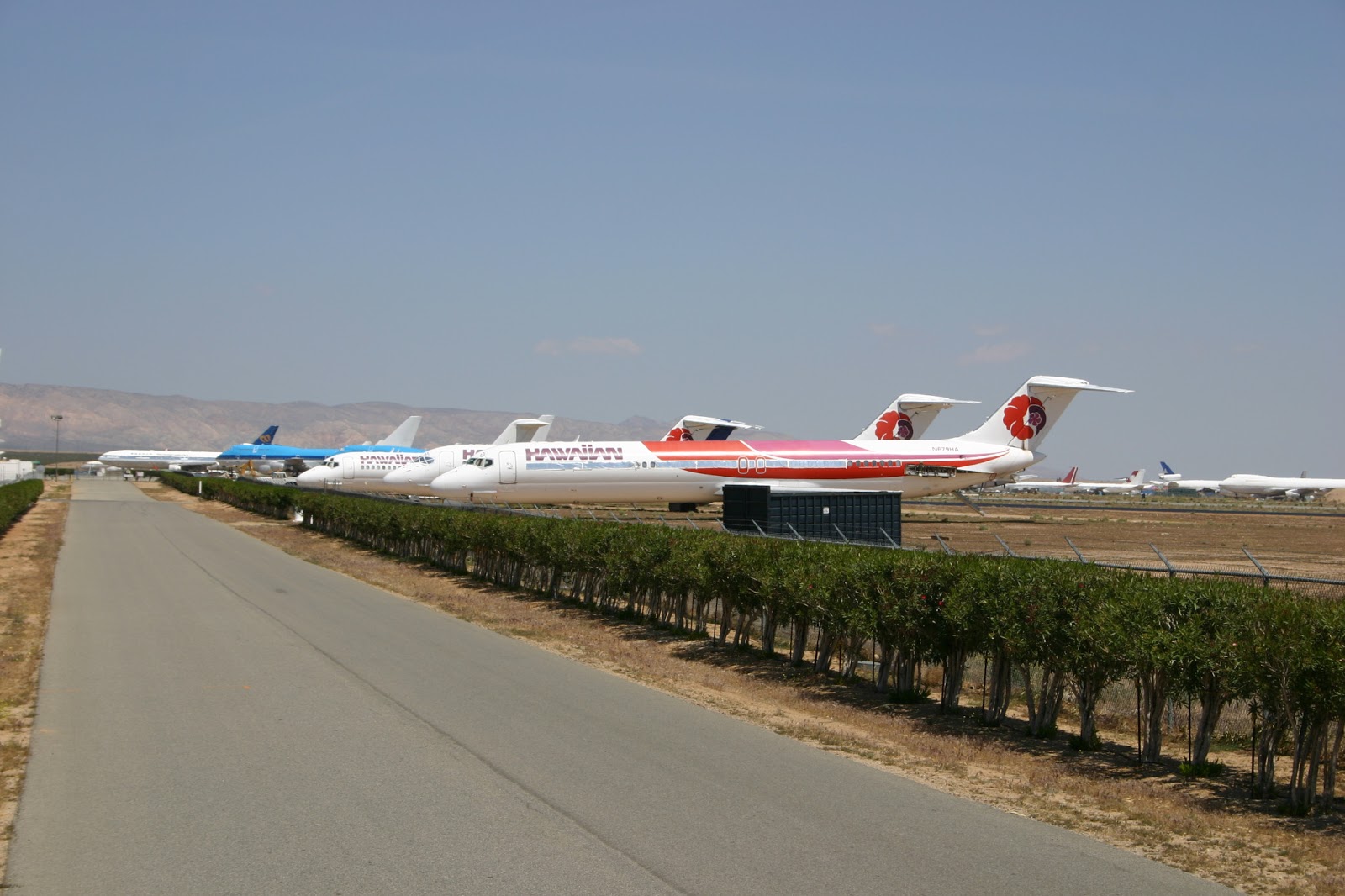The Mojave aircraft graveyard by Zubi Travel