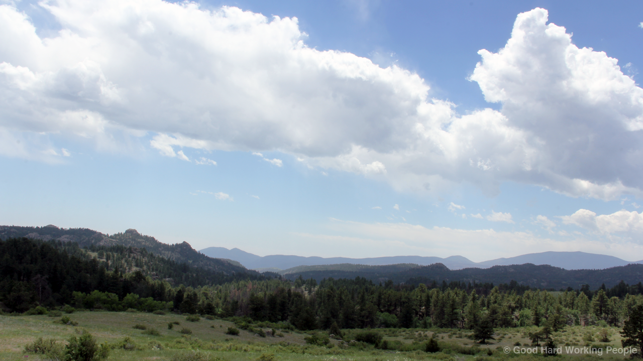 Photos from the Colorado Foothills - Luci Westphal