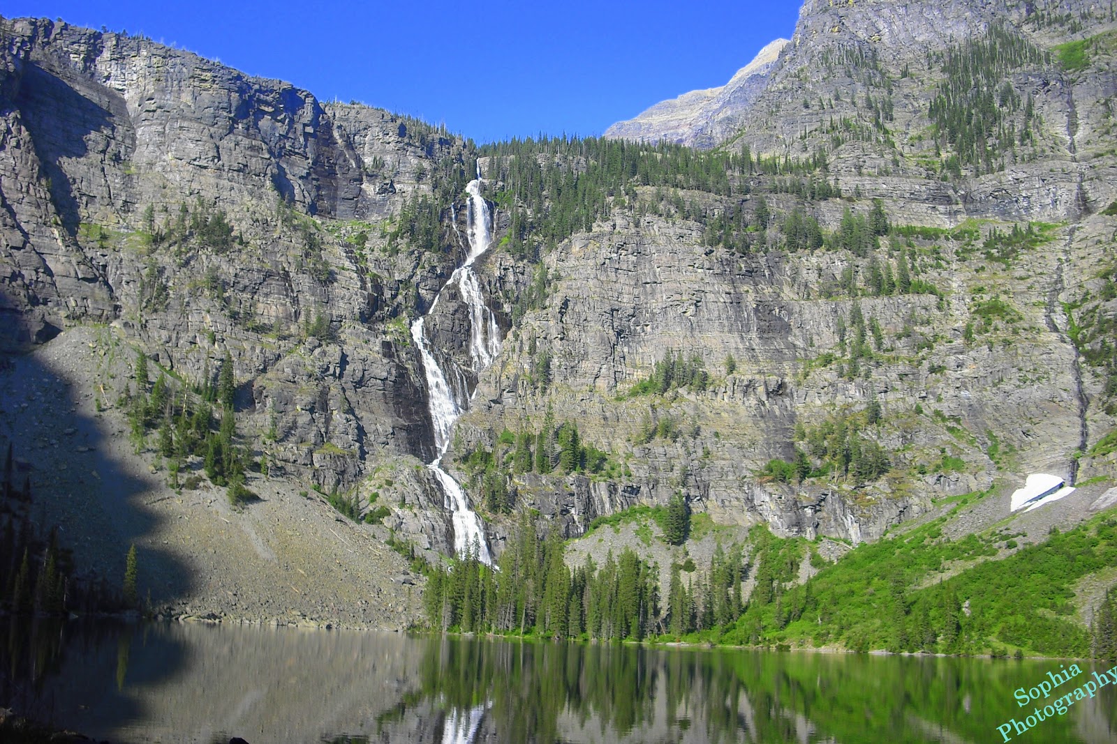 ALLIE WILSON PHOTOGRAPHY