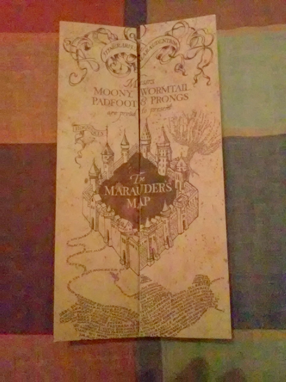 Los textos de Potter: Capítulo 10: El mapa del merodeador