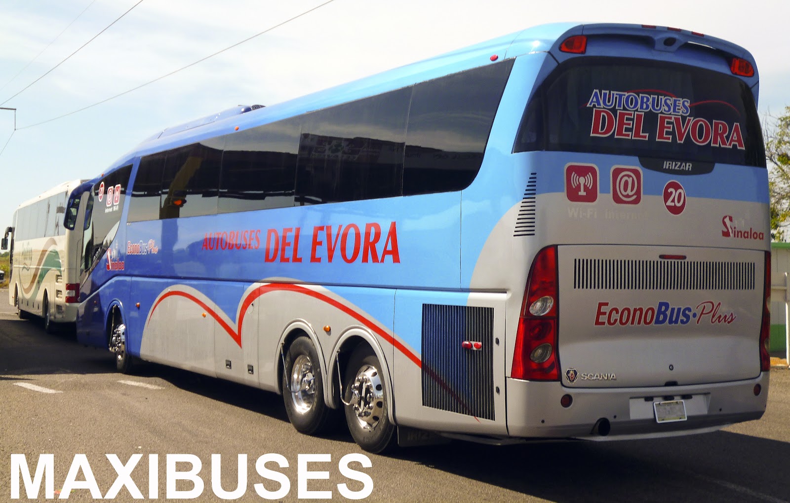 MAXIBUSES: AUTOBUSES DEL EVORA