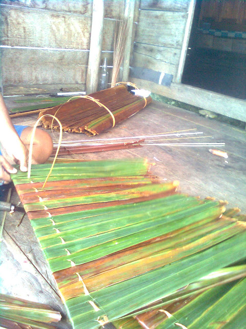 Tafakkur pada Ciptaan Allah Subhanahu Wa Ta'ala: Atap dari daun Sagu