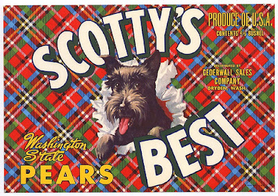 Golden Girl of the West: The Season of the Scottie