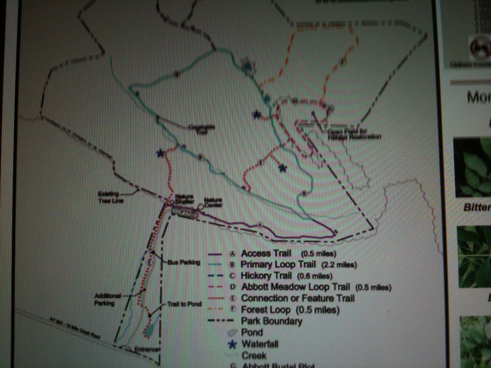 Louisville Area Hiking Blog: Morgan Conservation Park