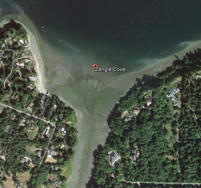 Protect Our Shoreline News: Sohn Geoduck Farm: Residents of Zangle Cove ...