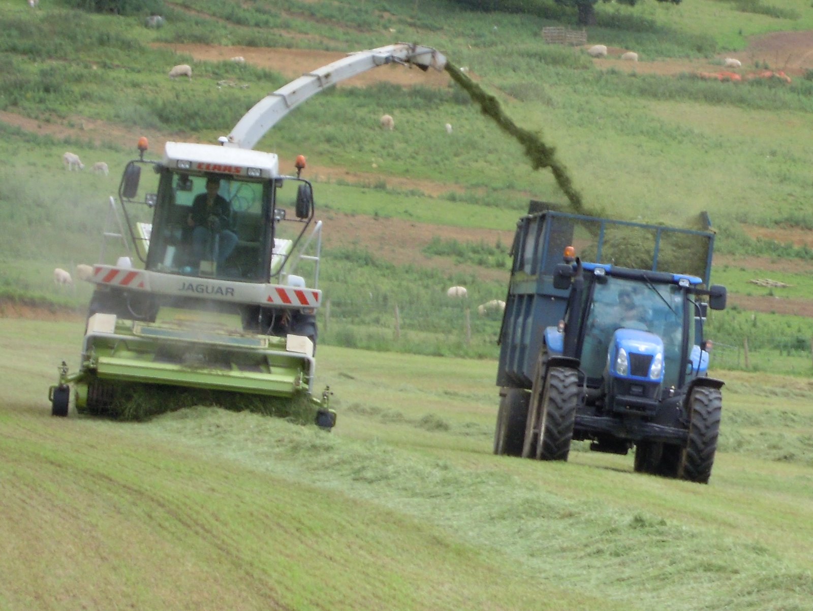 A Cotswold Year: Silage Making